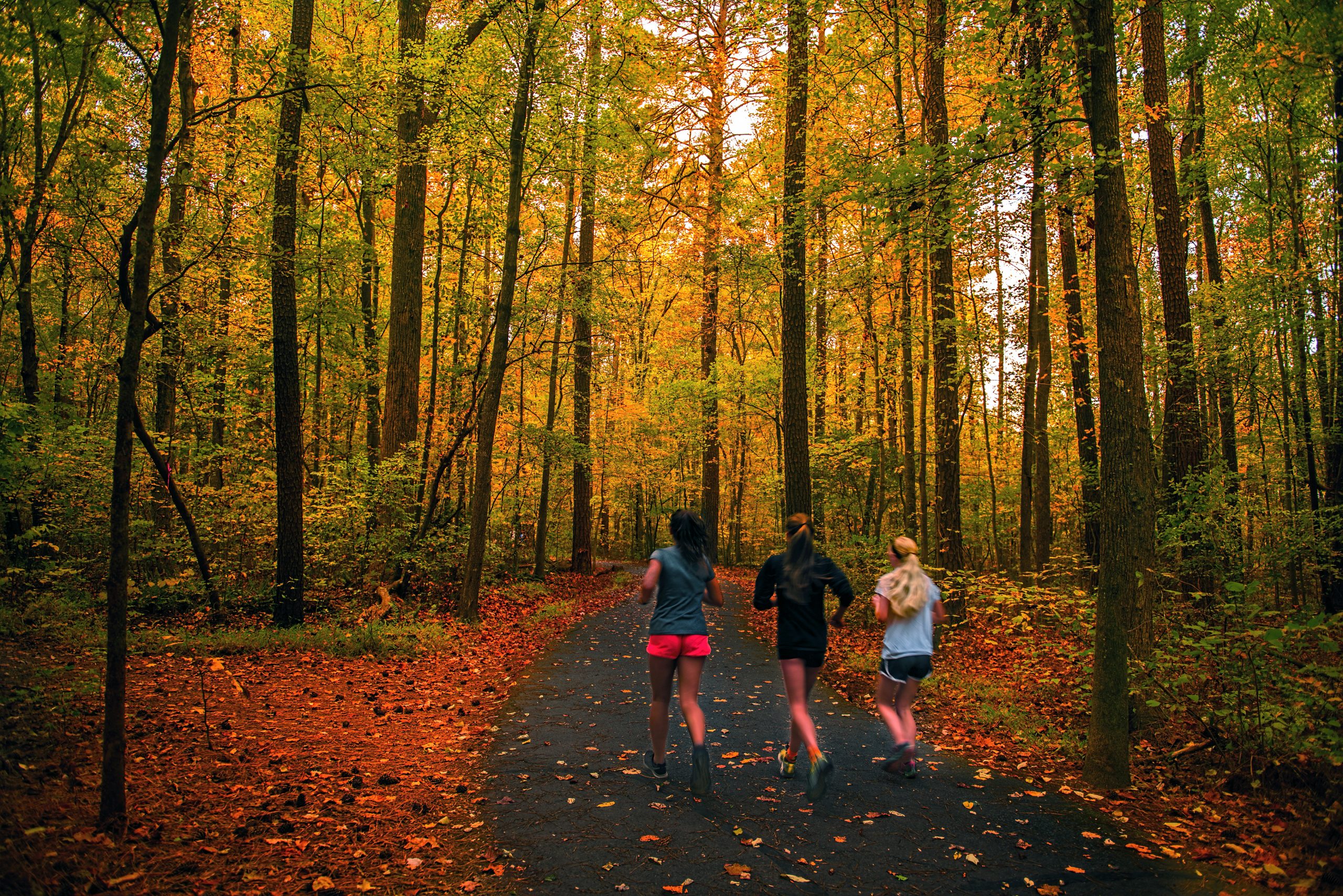 Pyramid Fartlek - Total Running Club